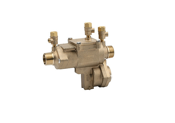 Bronze Backflow Preventer: carbovalve